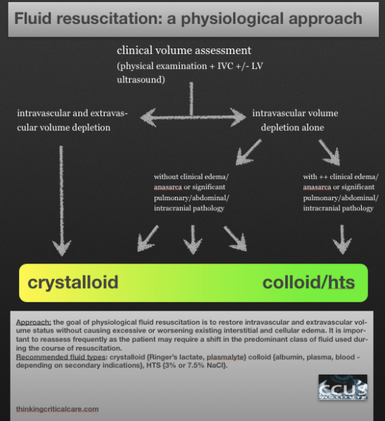 fluid resuscitation: a physiological approach – an N=1 podcast, #FOAMed ...